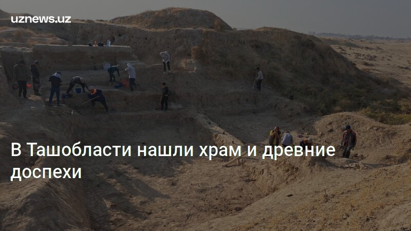 В Ташобласти нашли храм и древние доспехи - UzNews.uz