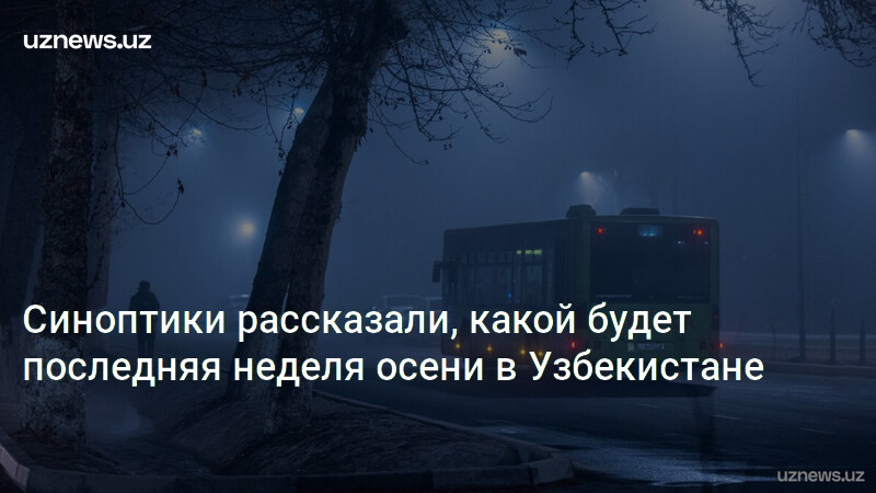 Синоптики рассказали, какой будет последняя неделя осени в Узбекистане - UzNews.uz