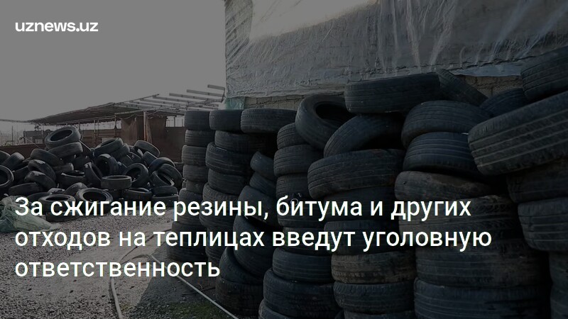 За сжигание резины, битума и других отходов на теплицах введут уголовную ответственность - UzNews.uz