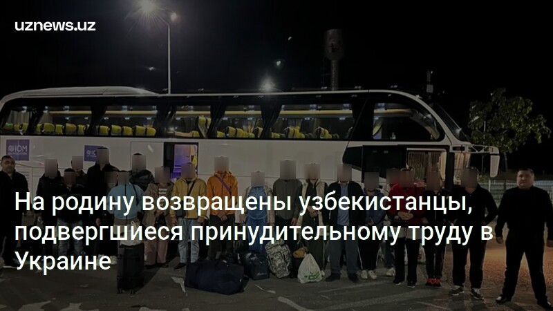 На родину возвращены узбекистанцы, подвергшиеся принудительному труду в Украине - UzNews.uz