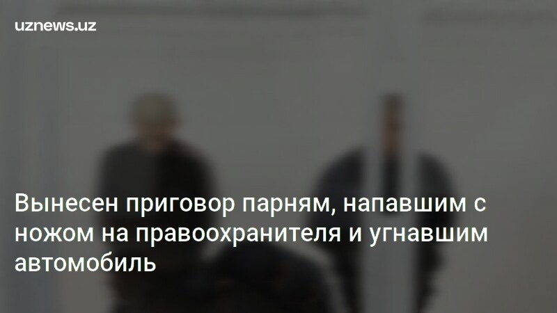 Вынесен приговор парням, напавшим с ножом на правоохранителя и угнавшим автомобиль - UzNews.uz
