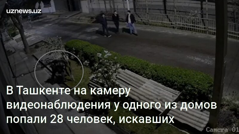В Ташкенте на камеру видеонаблюдения у одного из домов попали 28 человек, искавших «закладки ...