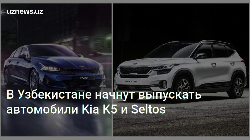 В Узбекистане начнут выпускать автомобили Kia K5 и Seltos - UzNews.uz