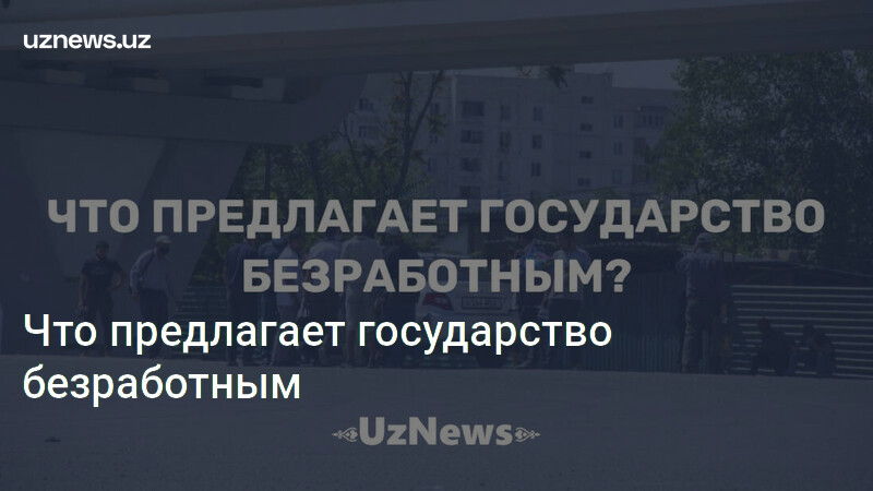 Что предлагает государство безработным - UzNews.uz
