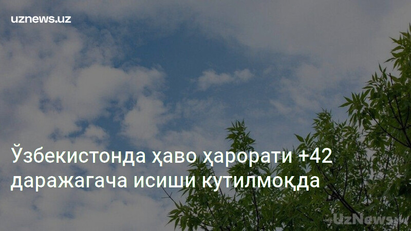 Ўзбекистонда ҳаво ҳарорати +42 даражагача исиши кутилмоқда - UzNews.uz