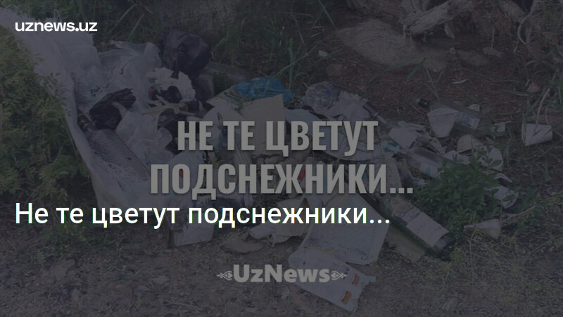 Не те цветут подснежники... - UzNews.uz