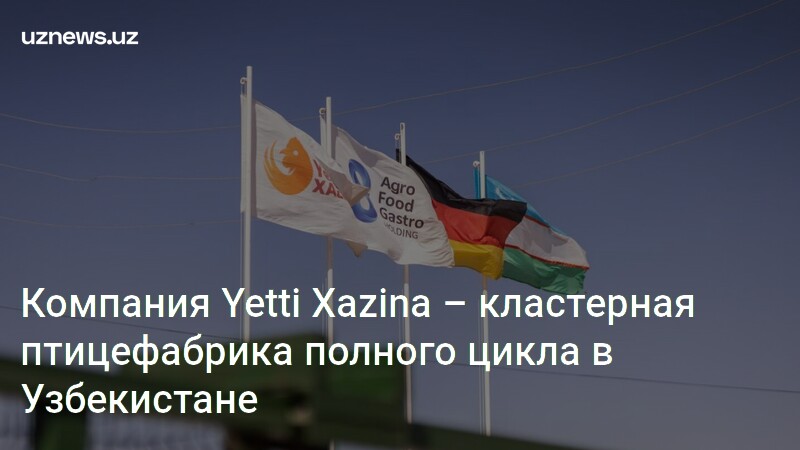 Компания Yetti Xazina – кластерная птицефабрика полного цикла в Узбекистане - UzNews.uz