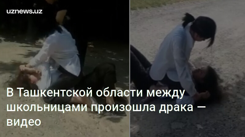 В Ташкентской области между школьницами произошла драка — видео - UzNews.uz