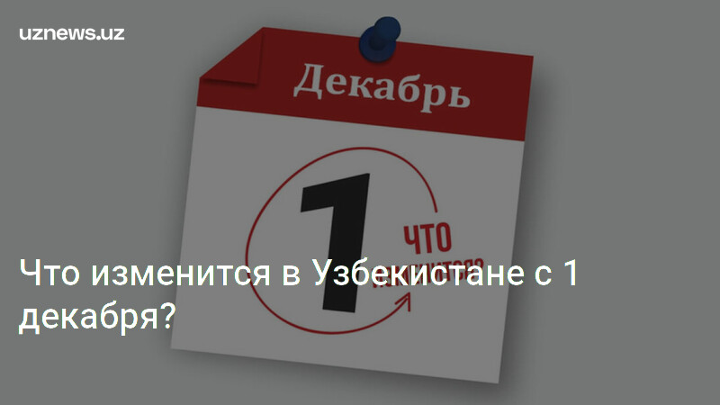 Что изменится в Узбекистане с 1 декабря? - UzNews.uz
