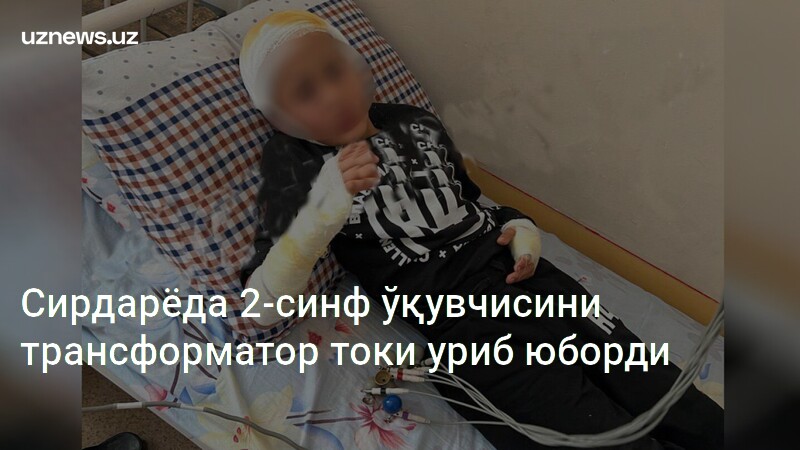 Сирдарёда 2-синф ўқувчисини трансформатор токи уриб юборди - UzNews.uz