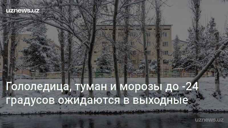 Гололедица, туман и морозы до -24 градусов ожидаются в выходные - UzNews.uz