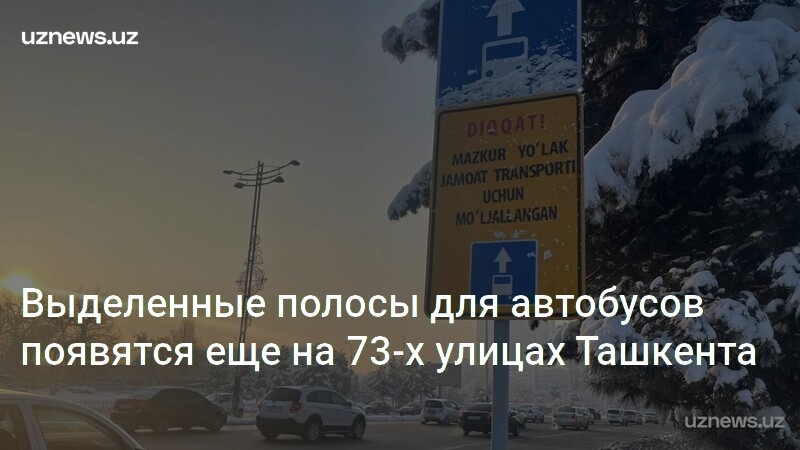 Выделенные полосы для автобусов появятся еще на 73-х улицах Ташкента - UzNews.uz