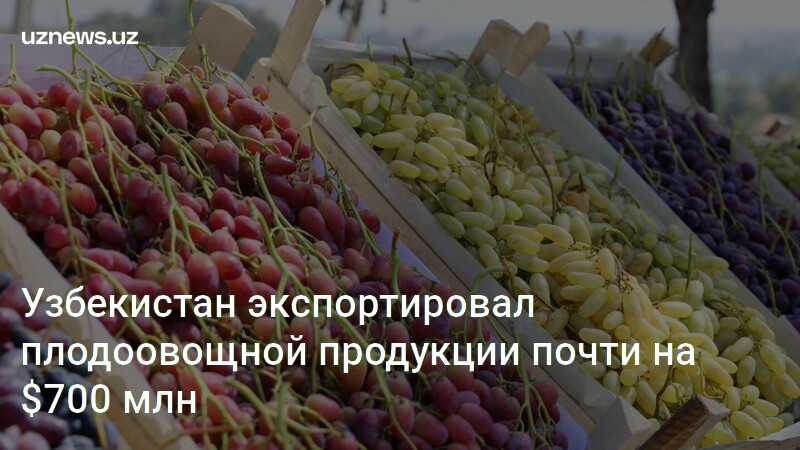 Узбекистан экспортировал плодоовощной продукции почти на $700 млн - UzNews.uz