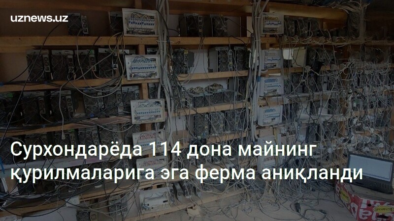 Сурхондарёда 114 дона майнинг қурилмаларига эга ферма аниқланди - UzNews.uz