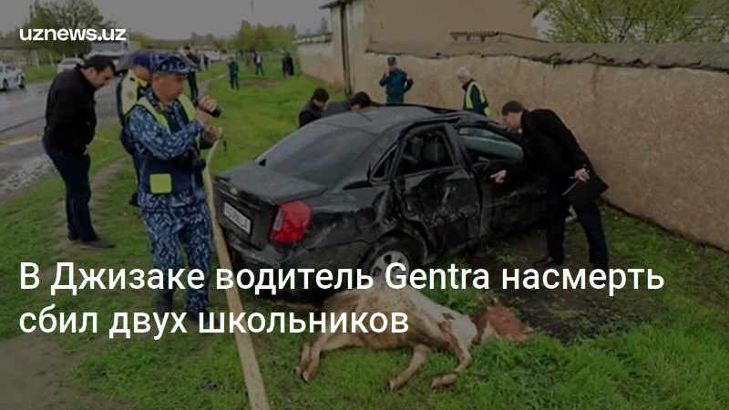 В Джизаке водитель Gentra насмерть сбил двух школьников - UzNews.uz
