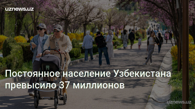 Постоянное население Узбекистана превысило 37 миллионов - UzNews.uz