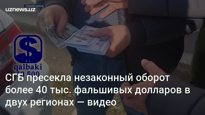 СГБ пресекла незаконный оборот более 40 тыс. фальшивых долларов в двух регионах — видео - UzNews.uz