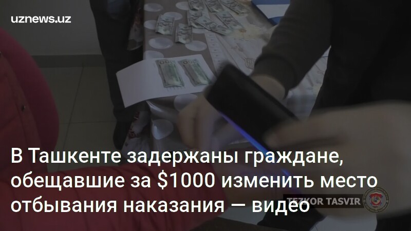 В Ташкенте задержаны граждане, обещавшие за $1000 изменить место отбывания наказания — видео ...