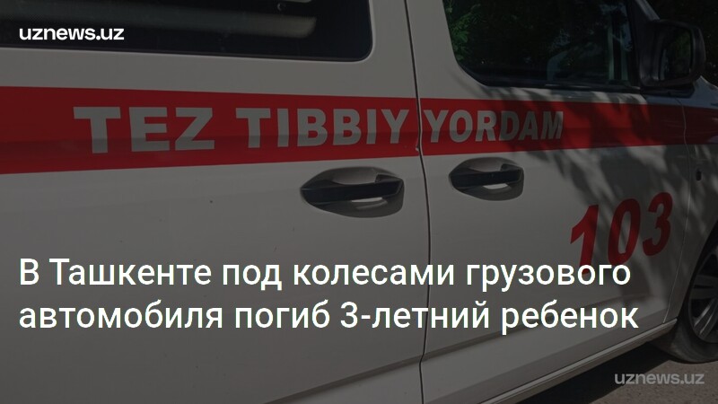 В Ташкенте под колесами грузового автомобиля погиб 3-летний ребенок - UzNews.uz