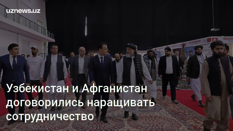 Узбекистан и Афганистан договорились наращивать сотрудничество - UzNews.uz