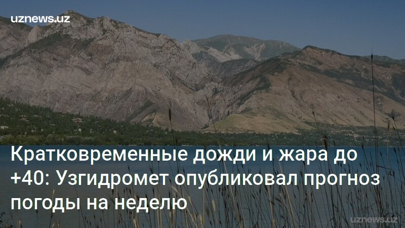 Кратковременные дожди и жара до +40: Узгидромет опубликовал прогноз погоды на неделю - UzNews.uz