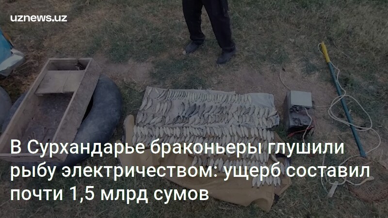 В Сурхандарье браконьеры глушили рыбу электричеством: ущерб составил почти 1,5 млрд сумов ...