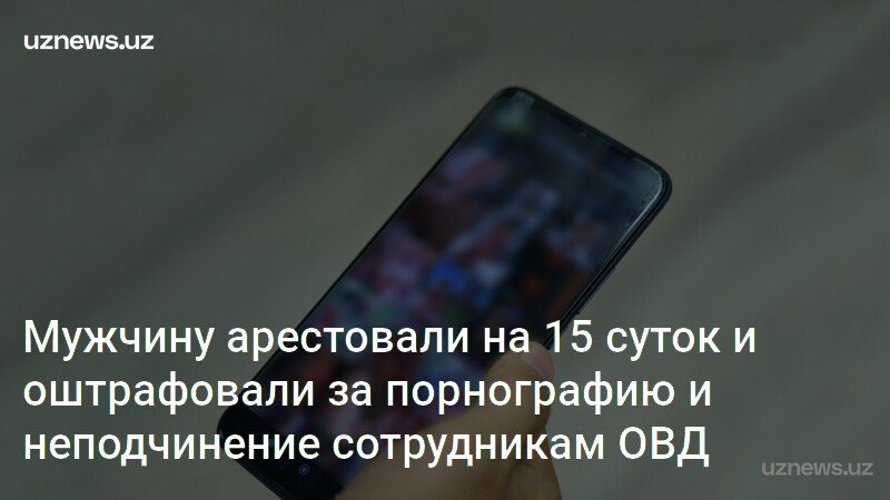 Мужчину арестовали на 15 суток и оштрафовали за порнографию и неподчинение сотрудникам ОВД ...
