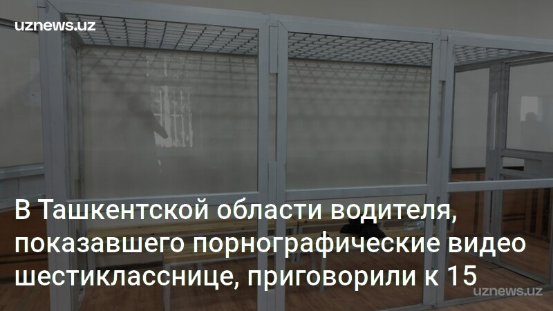 В Ташкентской области водителя, показавшего порнографические видео шестикласснице, приговорили к ...