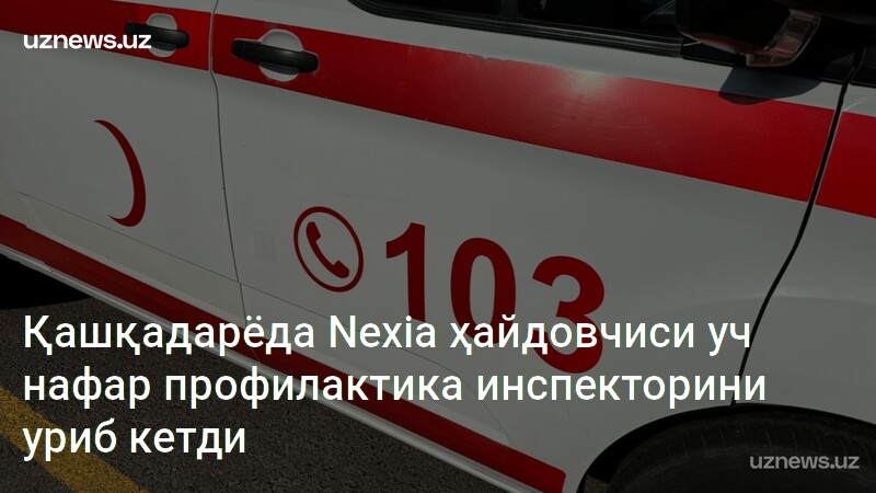 Қашқадарёда Nexia ҳайдовчиси уч нафар профилактика инспекторини уриб кетди - UzNews.uz