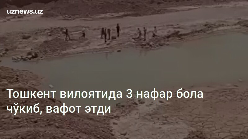 Тошкент вилоятида 3 нафар бола чўкиб, вафот этди — видео - UzNews.uz