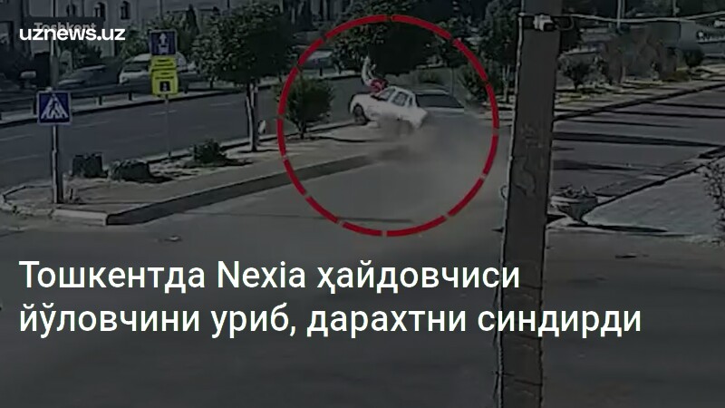 Тошкентда Nexia ҳайдовчиси йўловчини уриб, дарахтни синдирди - UzNews.uz