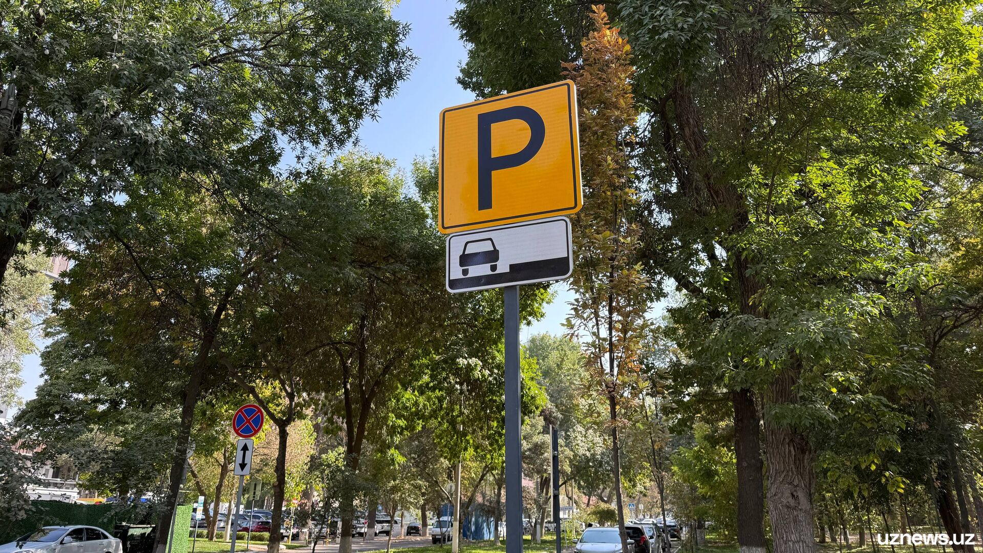 Операторов автостоянок в Ташкенте могут признать обладателями превосходной переговорной силы ...