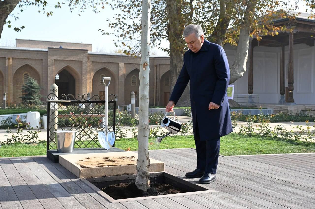 Шавкат Мирзиёев начал визит по Самаркандской области - UzNews.uz