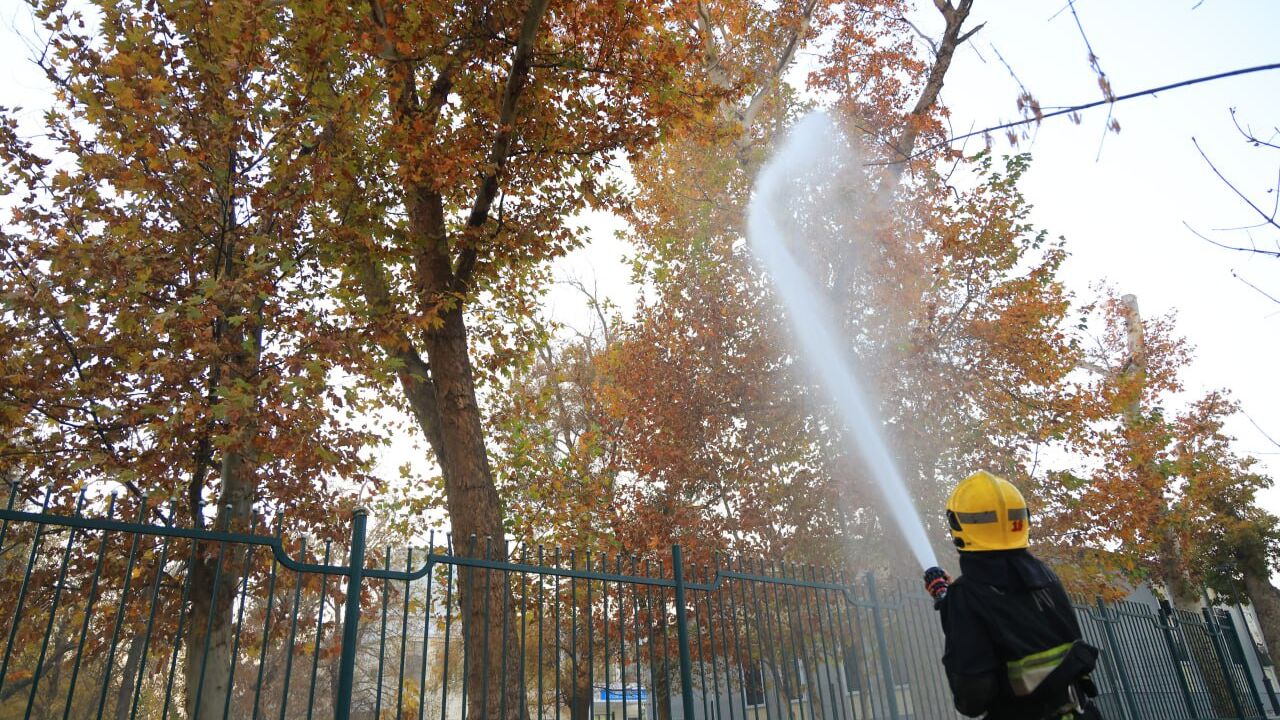 В Ташкенте продолжаются круглосуточные работы по снижению запылённости — отчёт - UzNews.uz