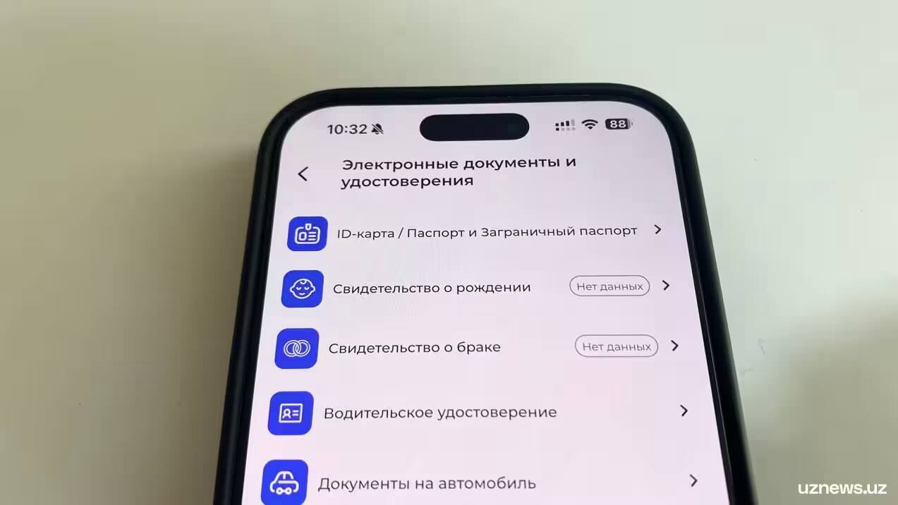 Маҳаллий йўловчилар энди паспортсиз саёҳат қилишлари мумкин - UzNews.uz